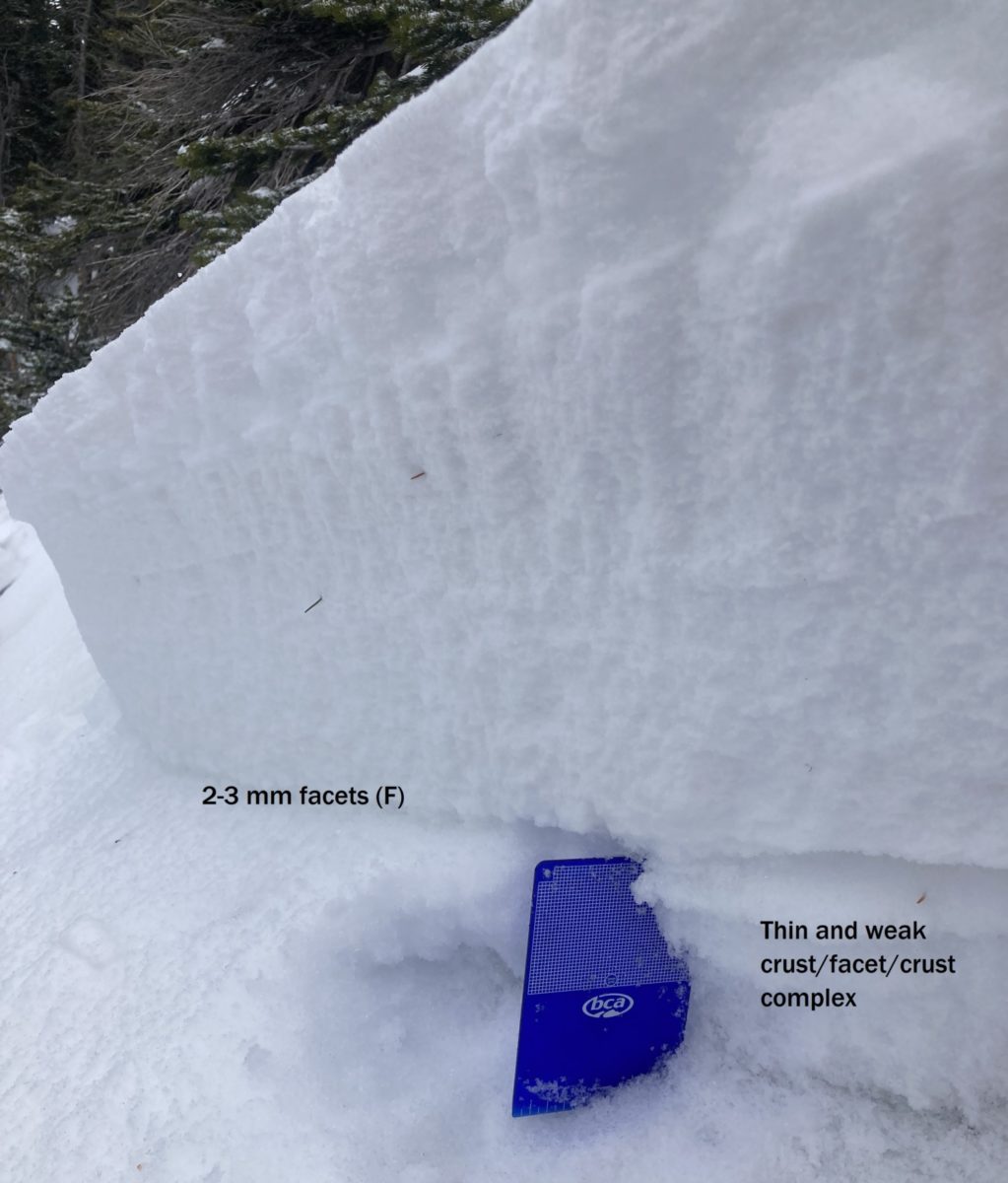 Avalanche.org » Weak Layer