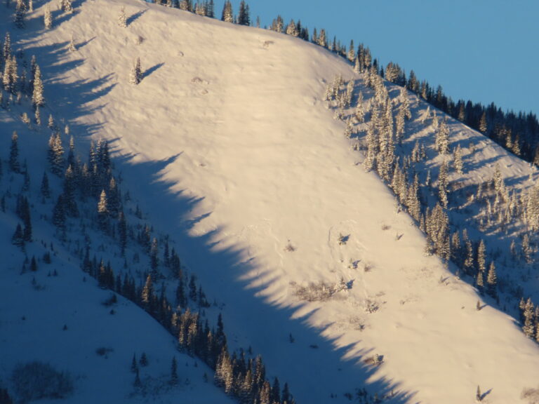 Avalanche.org » Relative Size (R Scale)