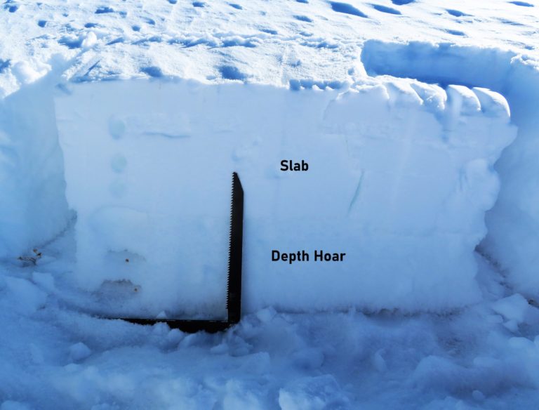 Avalanche.org » Depth Hoar / Basal Facets