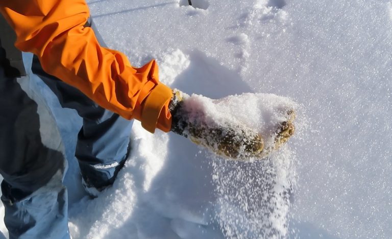 Avalanche.org » Facets