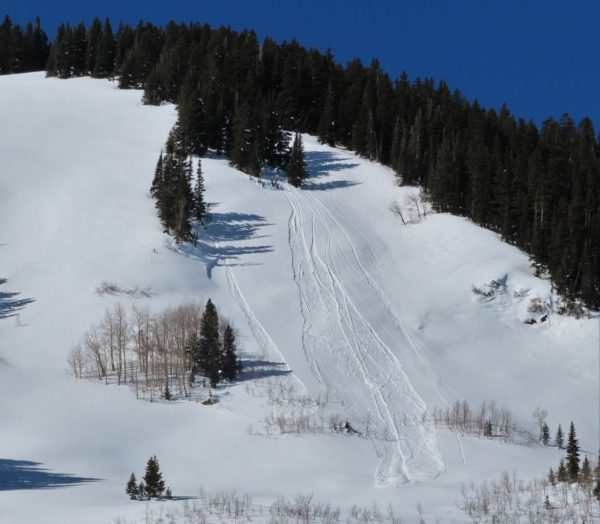 Avalanche.org » Loose snow avalanche