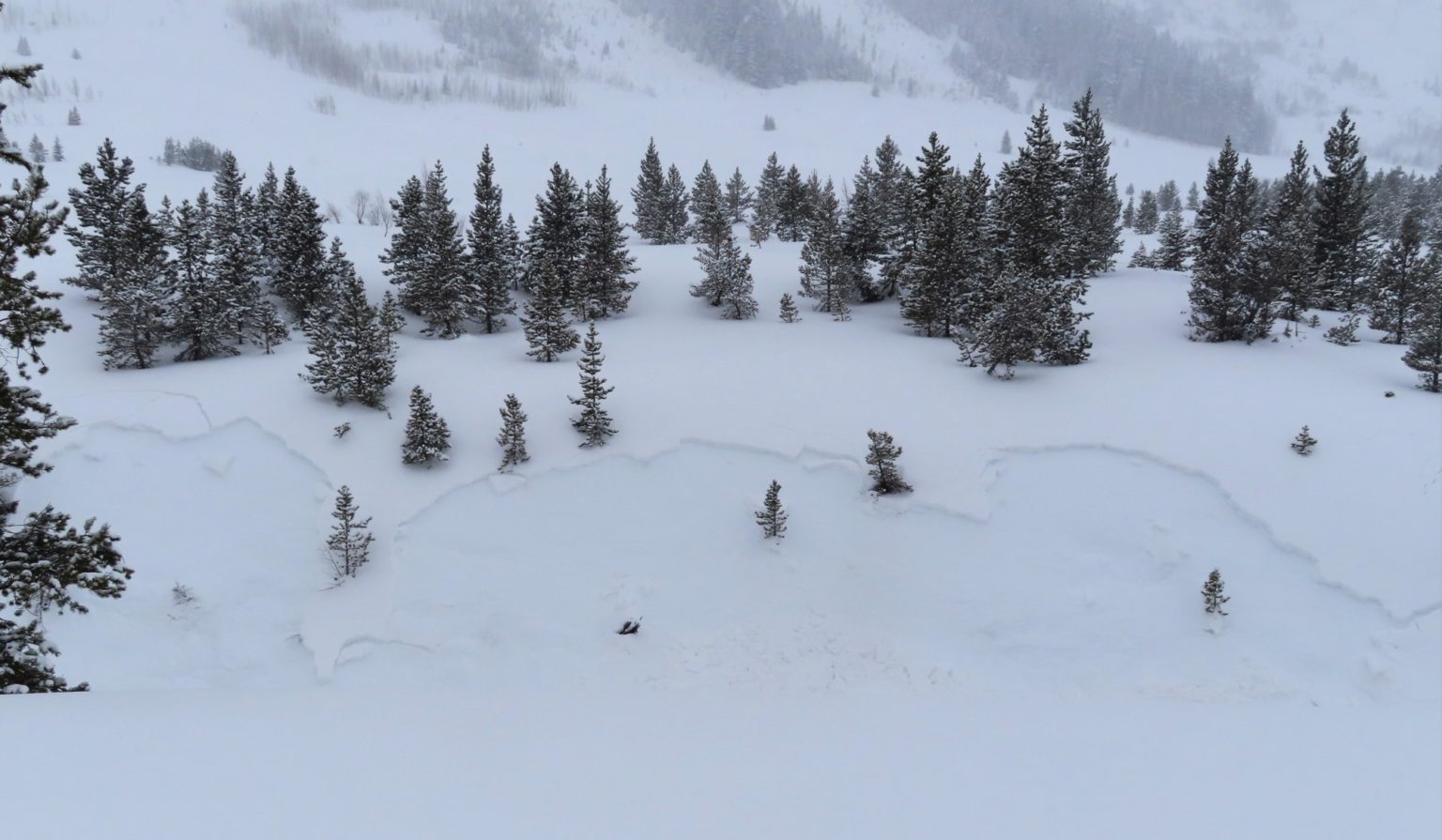 Avalanche.org » Natural Trigger