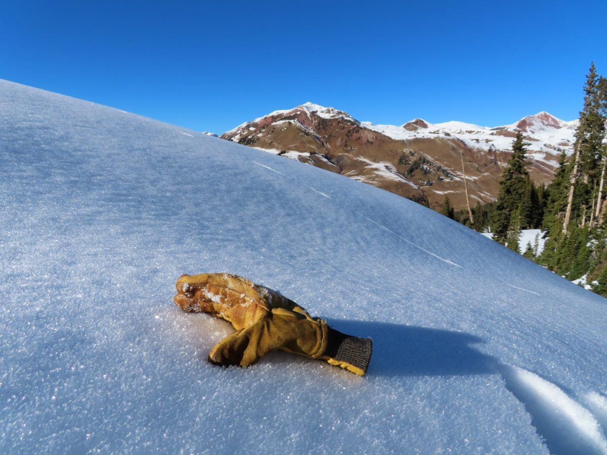 Avalanche.org » Surface Hoar