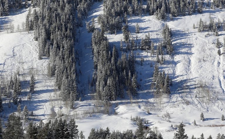 Avalanche.org » Surface Hoar