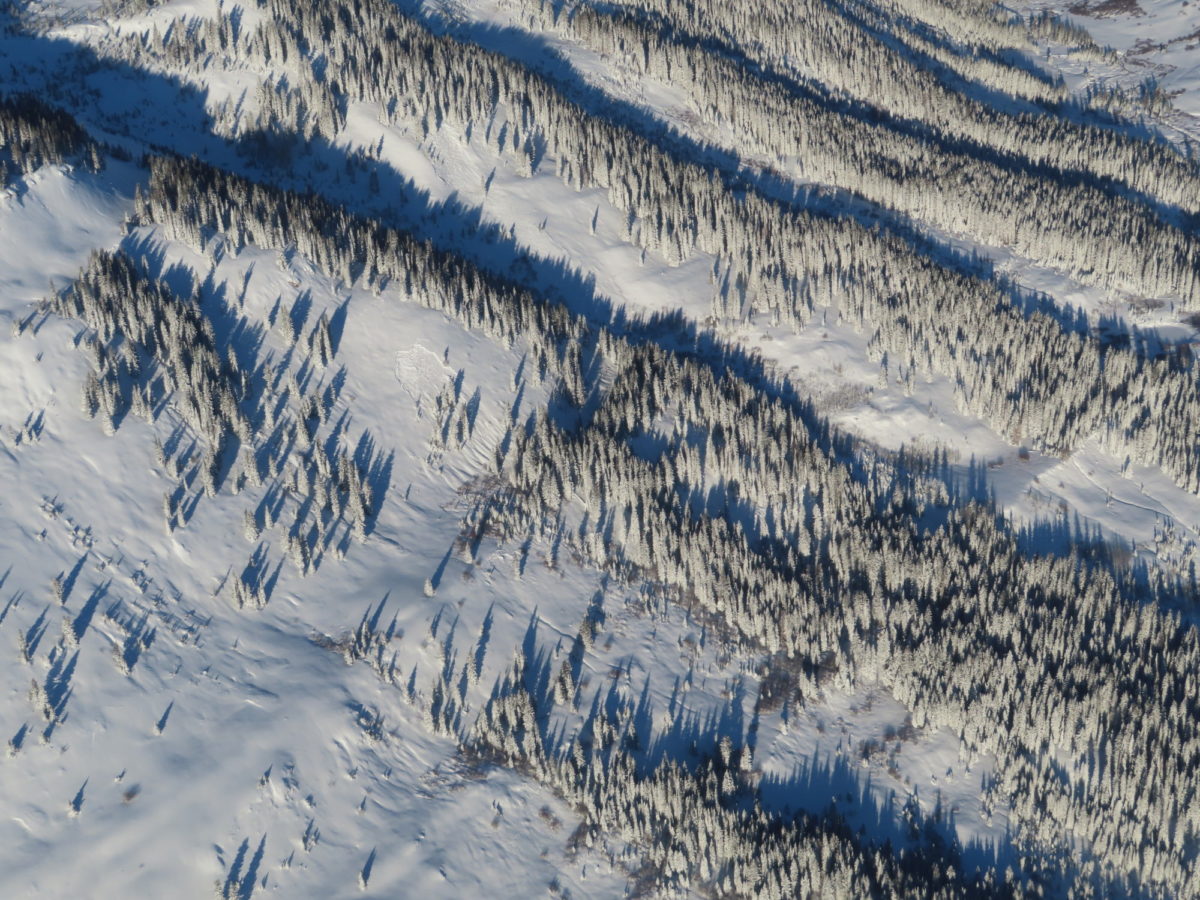Avalanche.org » Wind sheltered
