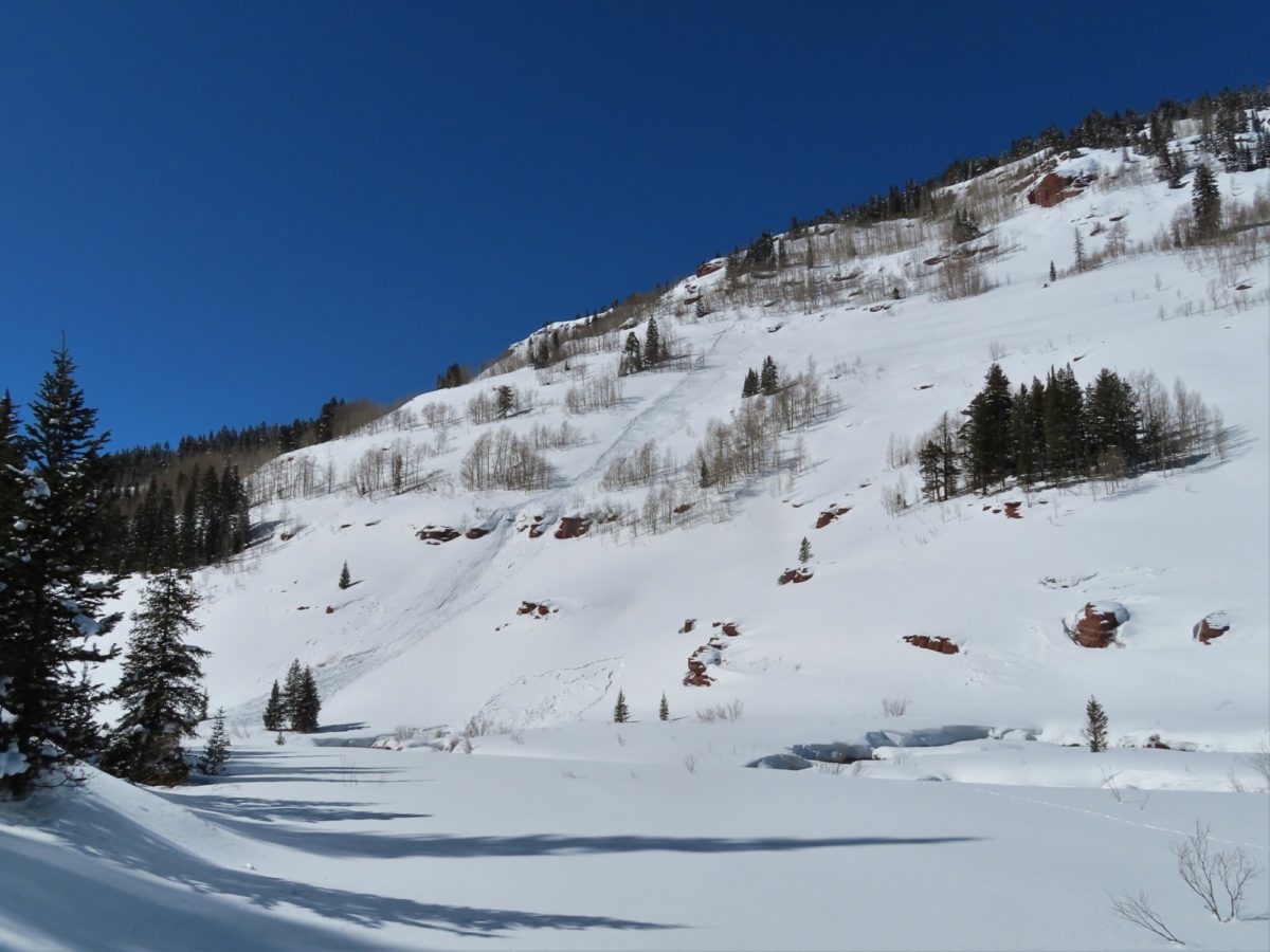 Avalanche.org » Below treeline