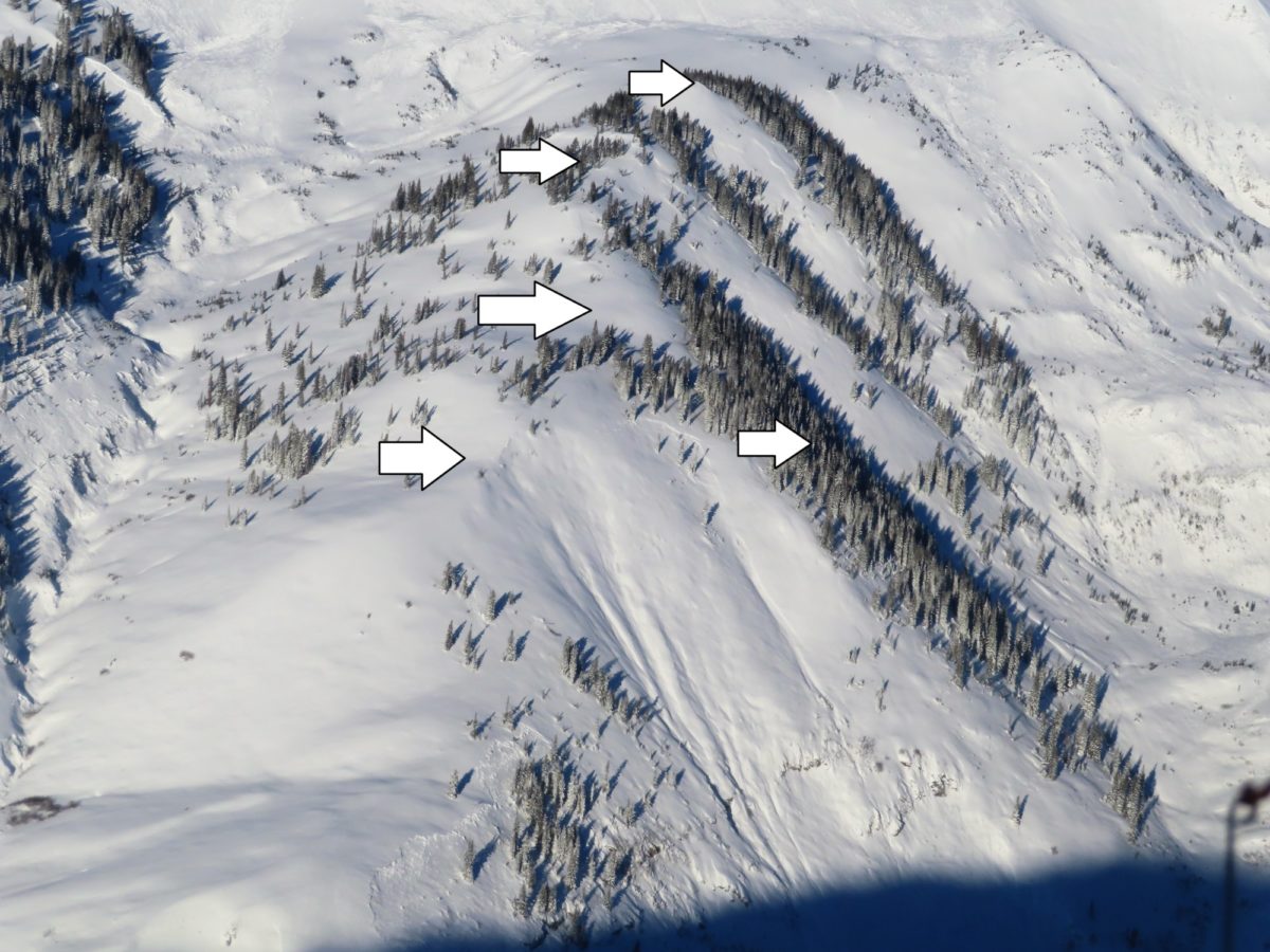 Avalanche.org » Safe Zone