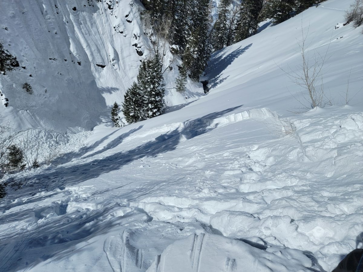 Avalanche.org » Avalanche path