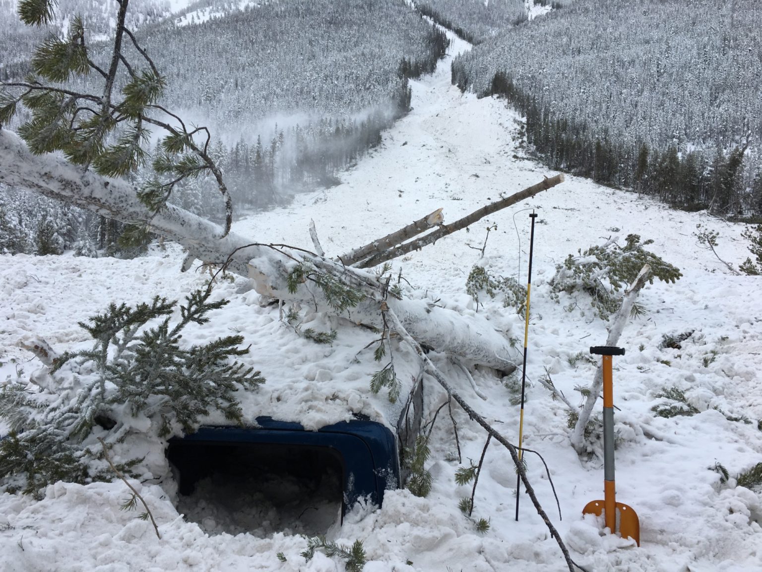 Avalanche.org » Avalanche path