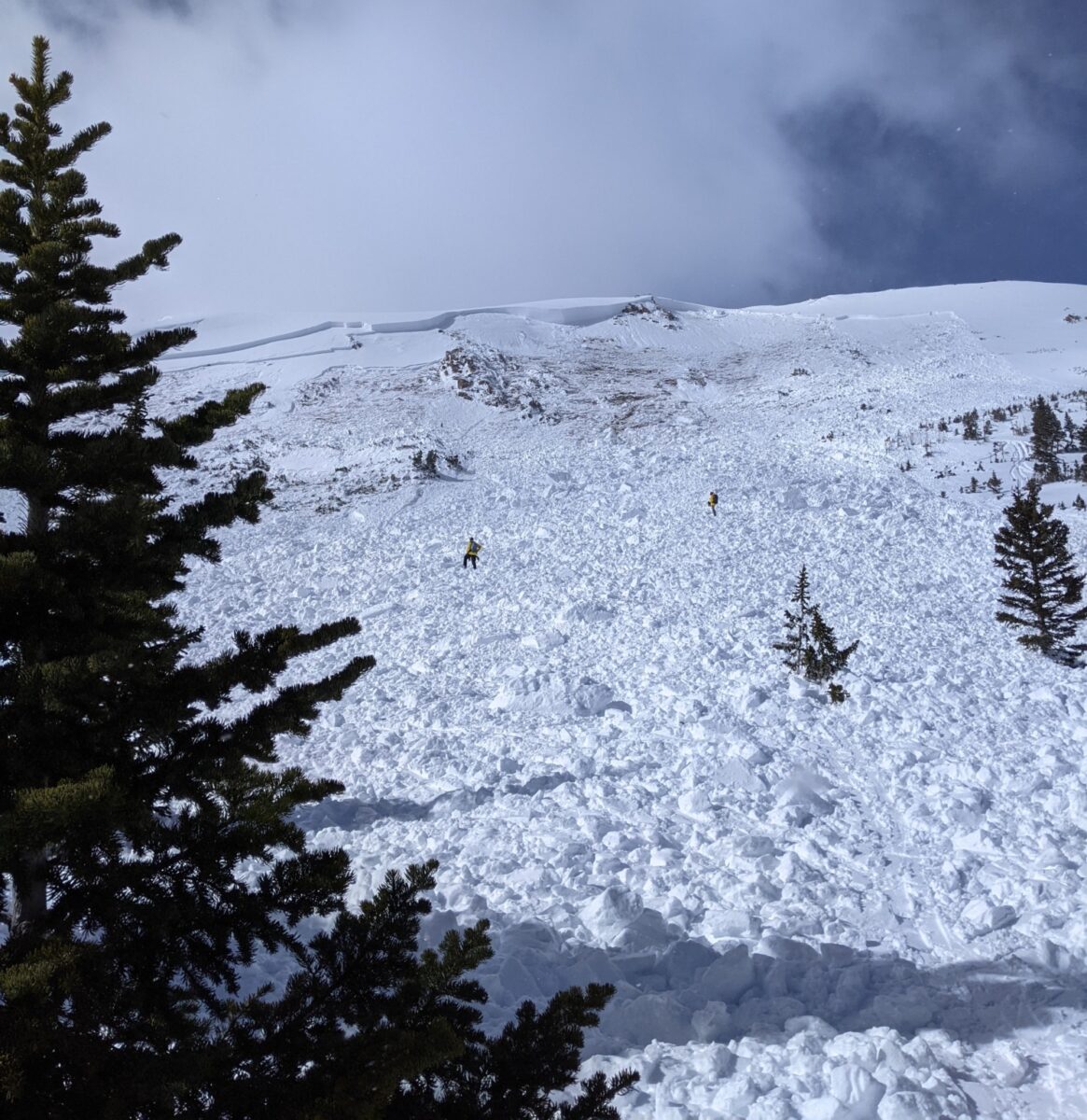 Avalanche.org » Transceiver/ Beacon