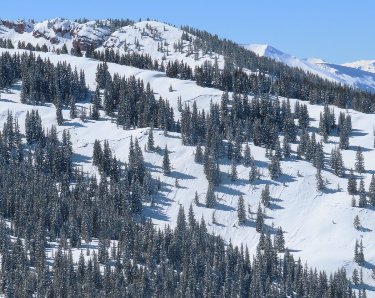 Avalanche.org » Avalanche Cycle